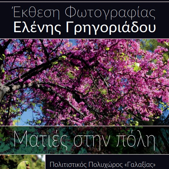 Έκθεση Φωτογραφίας της Ελένης Γρηγοριάδου στον Γαλαξία – τα ΕΠΙΚΑΙΡΑ