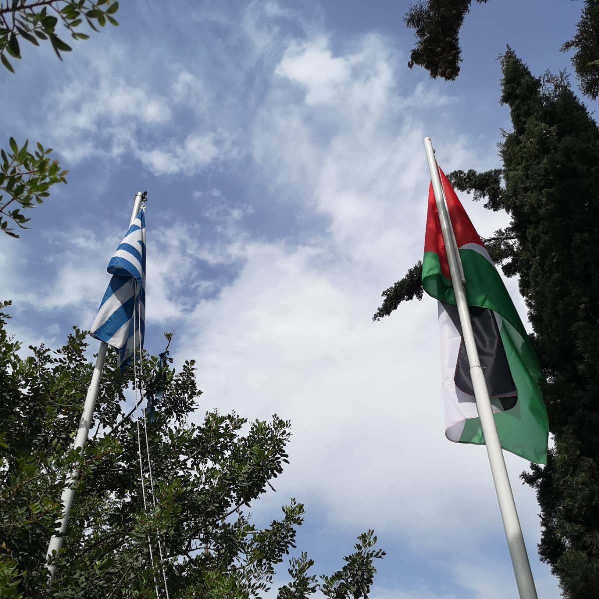 Η Παλαιστινιακή σημαία αναρτήθηκε στο Δημαρχείο Ν. Σμύρνης και στην ...